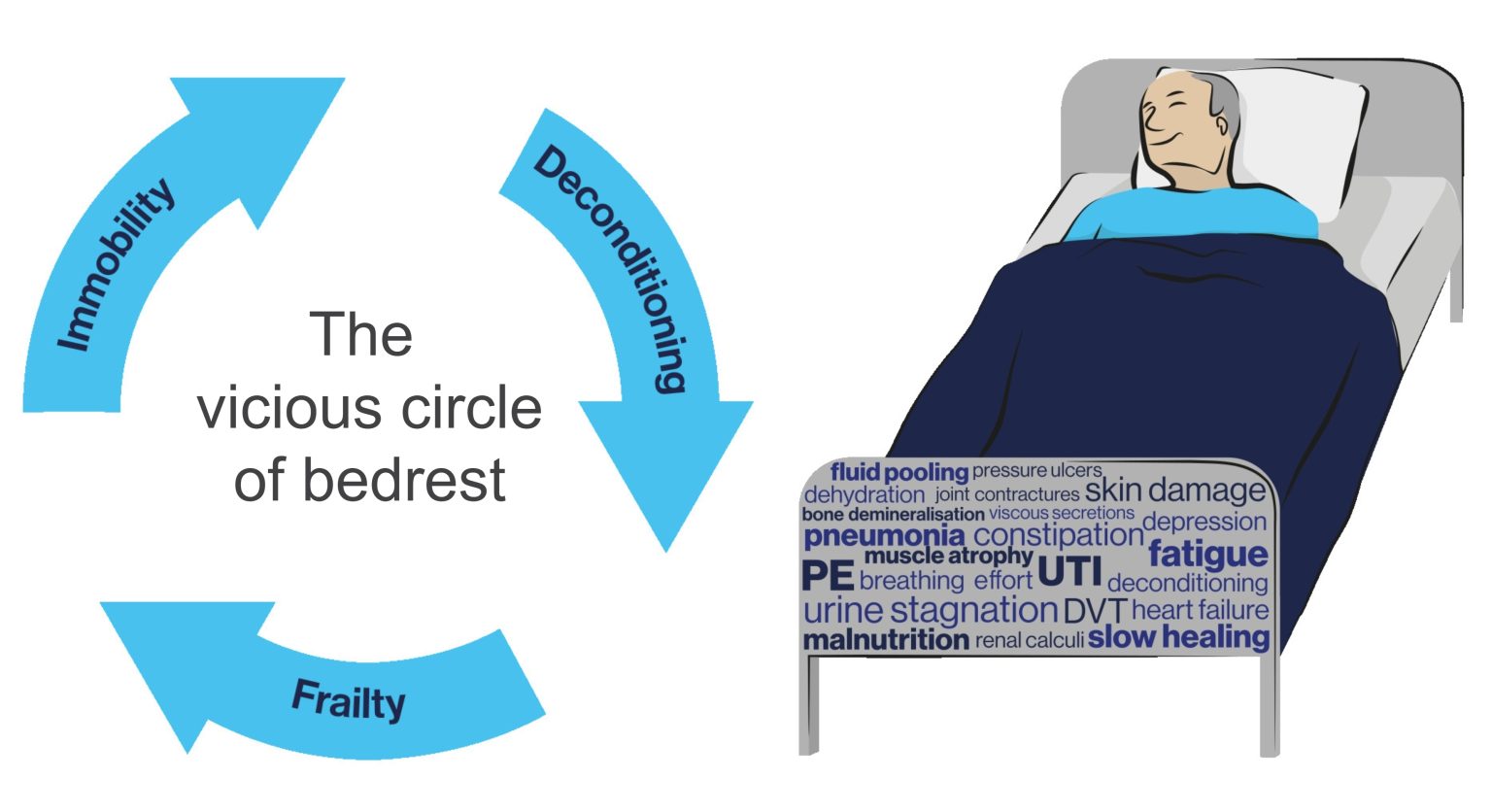 Role of the Hospital Chair in Patient Recovery - Medstrom