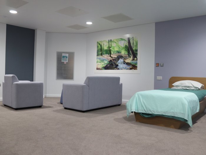 Section 136: Patients, police and protection against harm - Medstrom